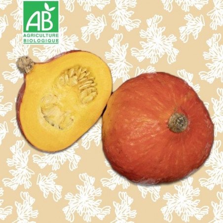 Vente potimarron bio en direct producteur | Livraison à domicile