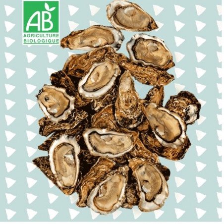 Huîtres naturelles pleine mer N°2 Île d'Oléron | 2 douzaines